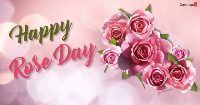 Happy Rose Day 2023 | 50+ Rose Day Wishes, Messages, Greetings and ...