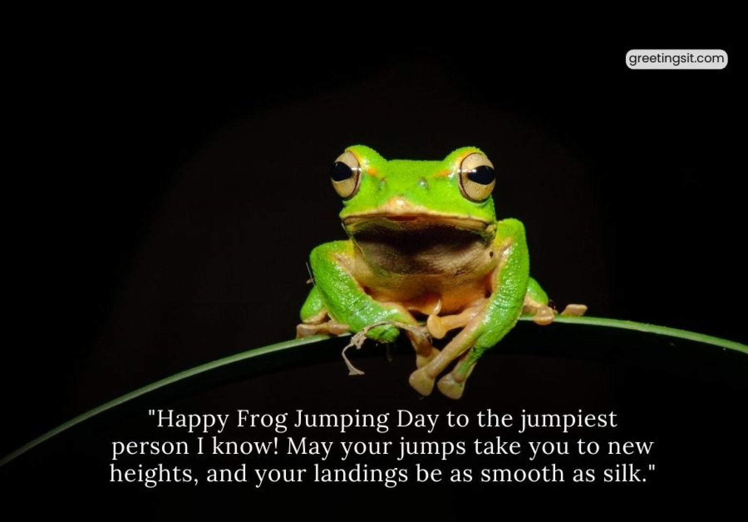 Frog Jumping Day Wishes and Quotes - Greetingsit