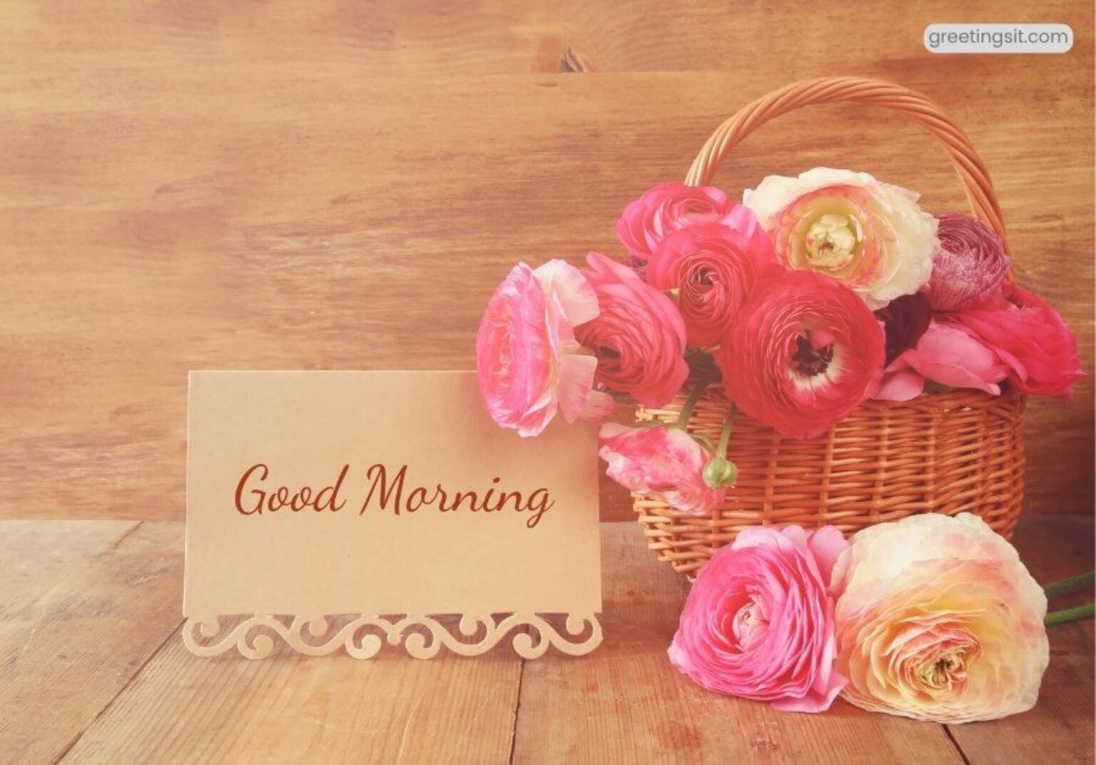 Good Morning Images | 500+ HD Good Morning Pics - Greetingsit